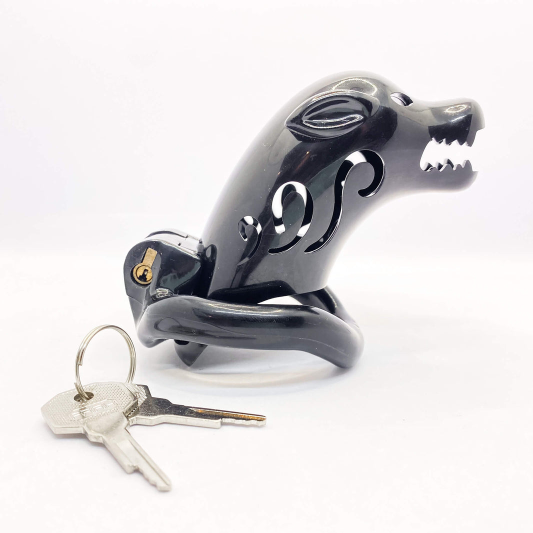 For Him – Eccentric Playroom Essentials